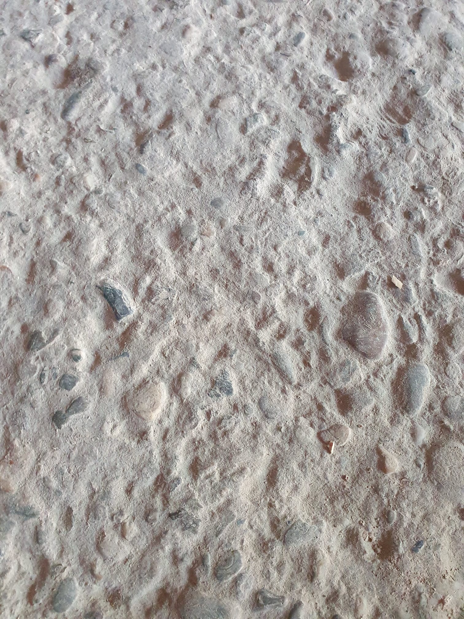 Met de natuur mee verbouwen: zo is de praktijk | Plaats De Kleine Aarde